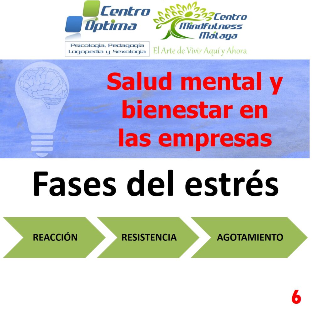 Centro Óptima | Salud mental en las empresas 6: Fases del estrés